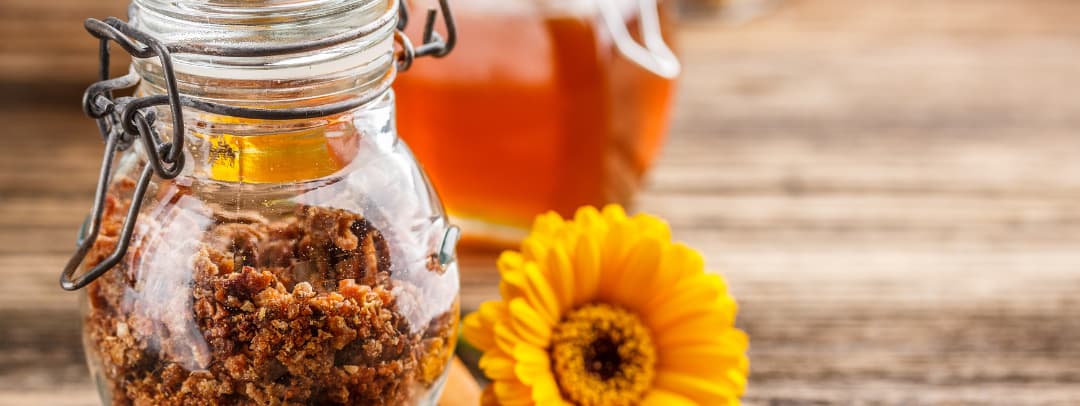 Propóleo: remedio natural de las abejas - MAES Honey